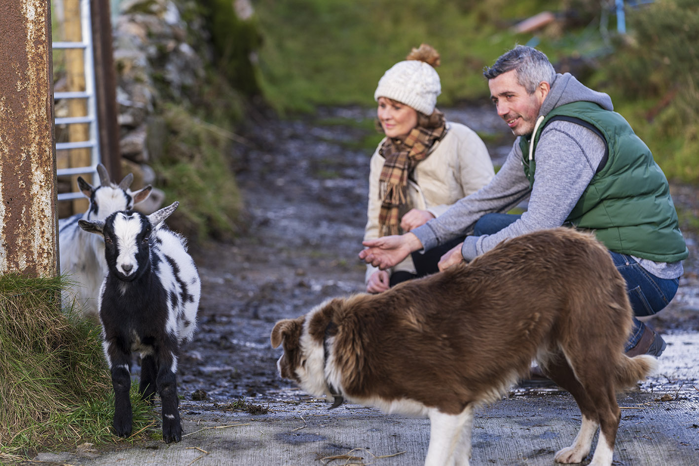 Butterlope Farm - International Appalachian Trail